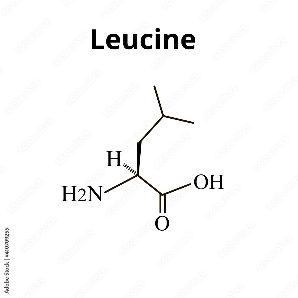 Amino acid Leucine. Chemical molecular formula of amino acid leucine ...