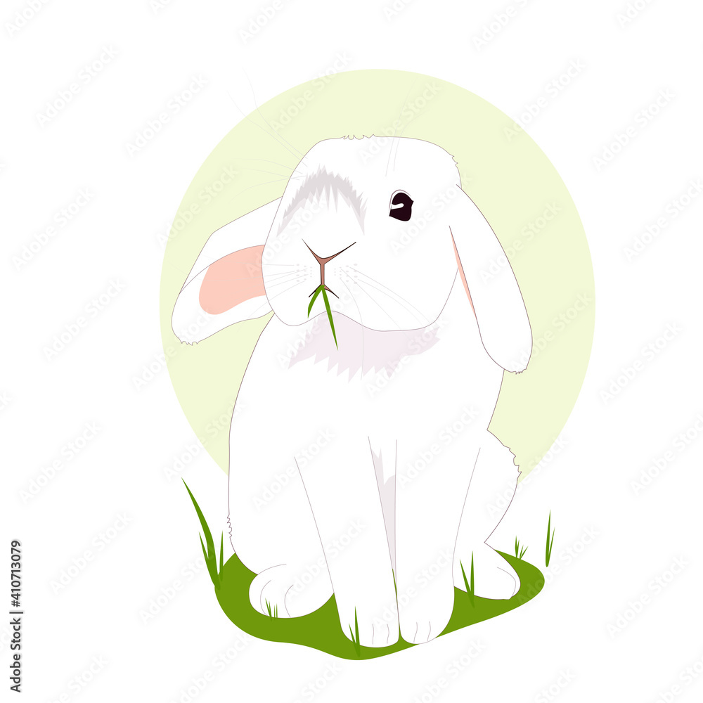 Cute fluffy white rabbit sits and chews green grass. Animals. Modern ...