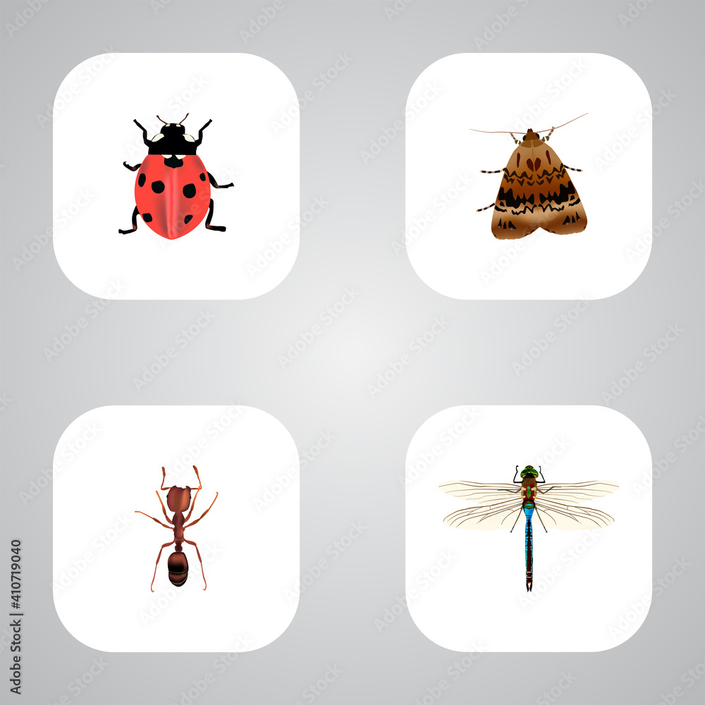 Set of insect realistic symbols with moth, dragonfly, ant and other ...