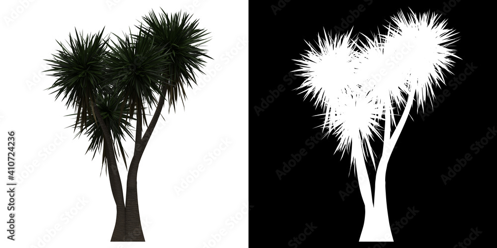 Front view of Generic Tree. PNG with alpha channel to cutout. Made from ...