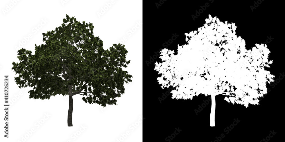 Front view of Generic Tree. PNG with alpha channel to cutout. Made from ...