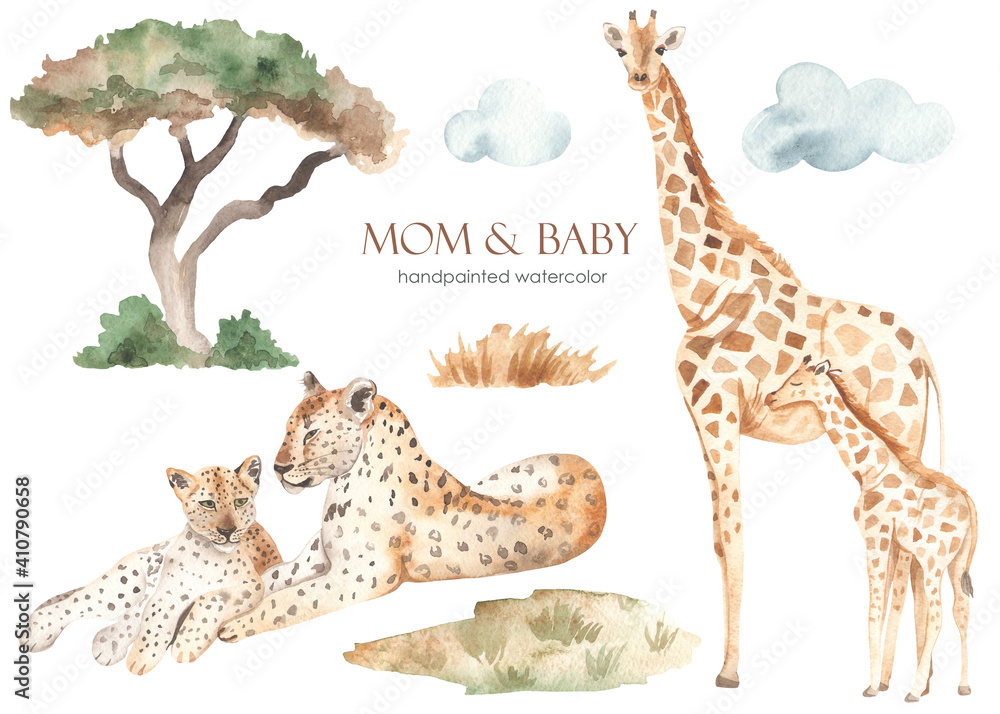 Watercolor set mom and baby Africa leopards, giraffes, dried flowers ...