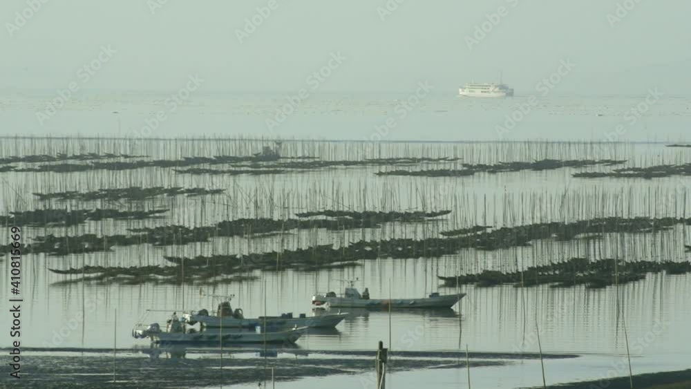 有明海の海苔網とフェリー Stock Video | Adobe Stock