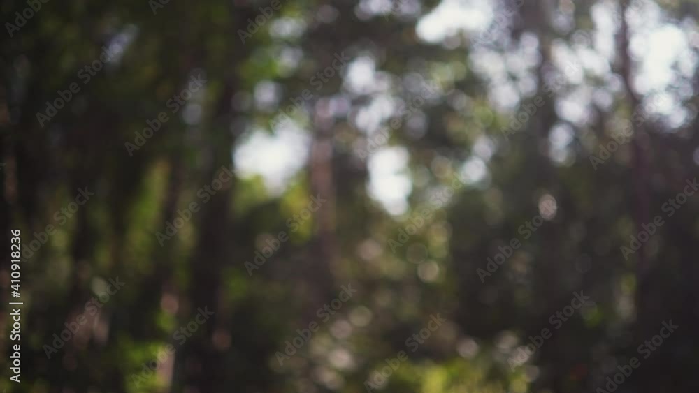 blurry background of tropical rain forest movement on the road, view ...