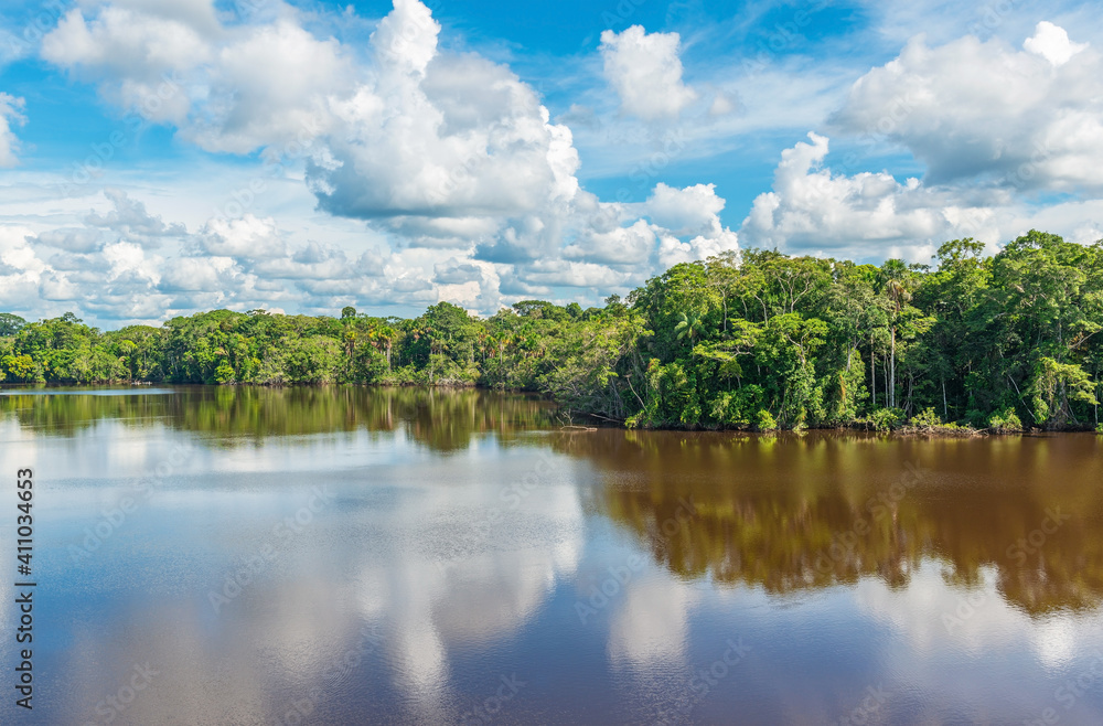 Amazon rainforest lake reflection, the Amazon river basin comprise ...