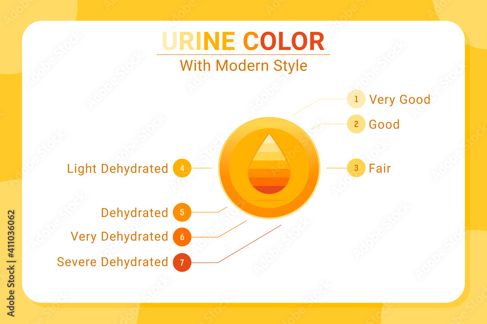 Urine color vector illustration isolated on white background. Vector ...