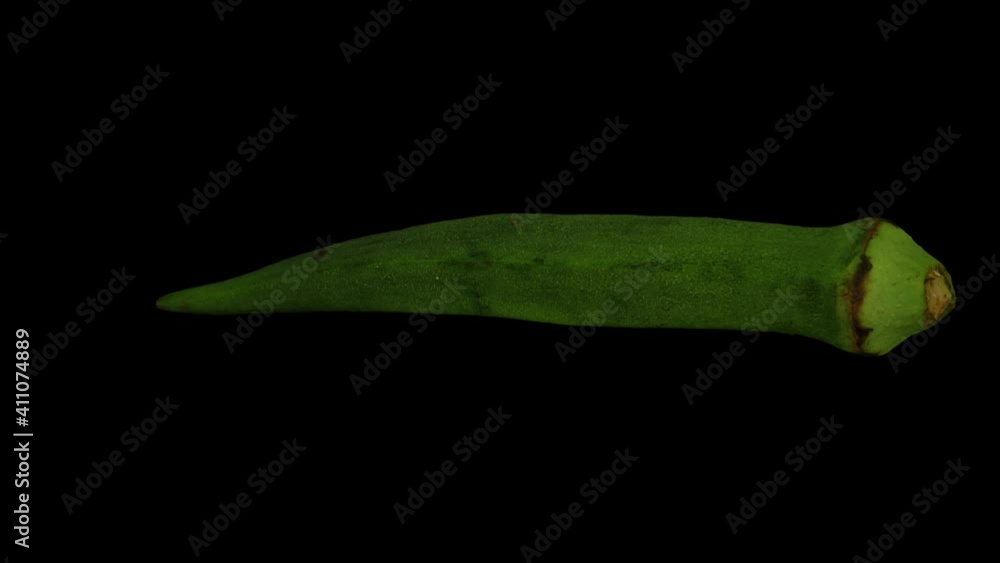 Realistic render of a rotating Okra (Okro,Ochro) Pod on black ...