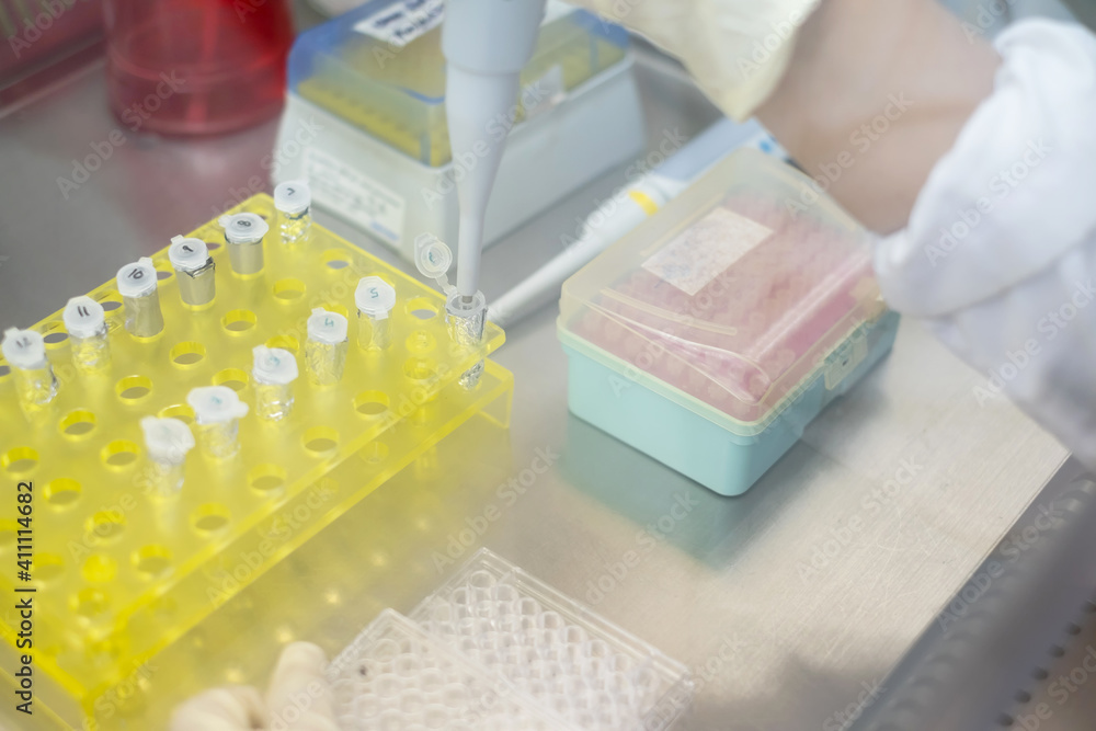 Young Asia Scientist using micropipette transfer sample from Eppendorf ...