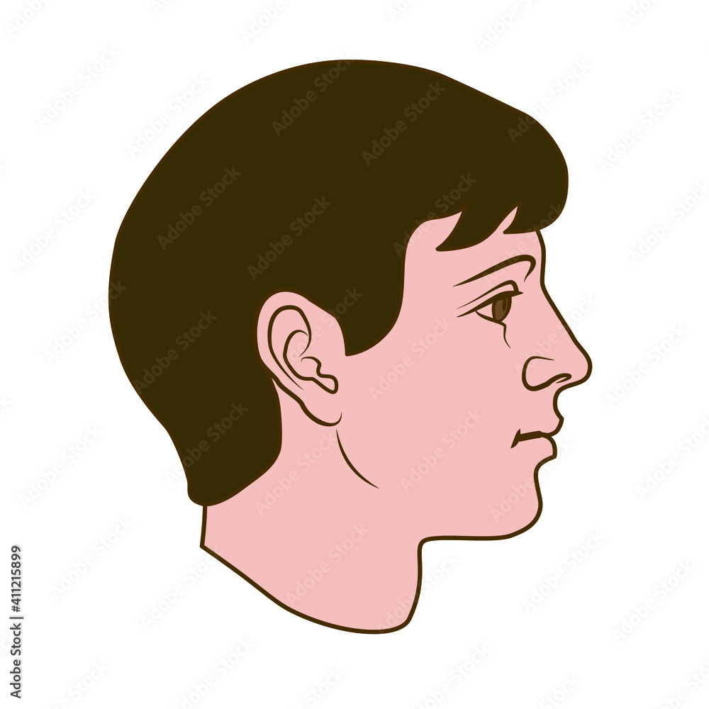 Hand drawn model of human head in side view. Dark haired, gender ...