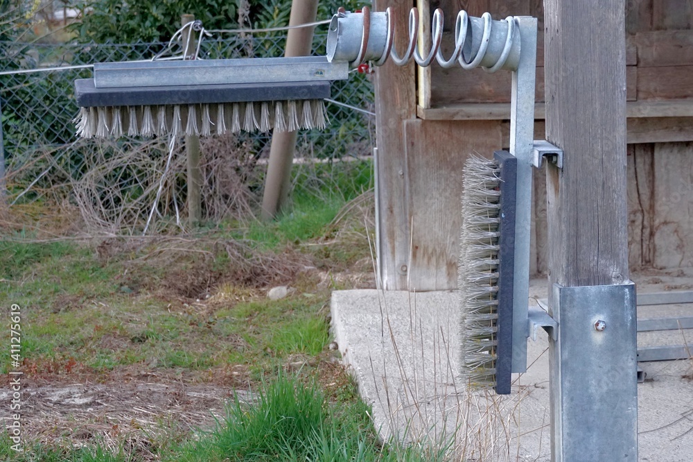 Two brushes for cleaning of cows on the farm. They are arranged in ...