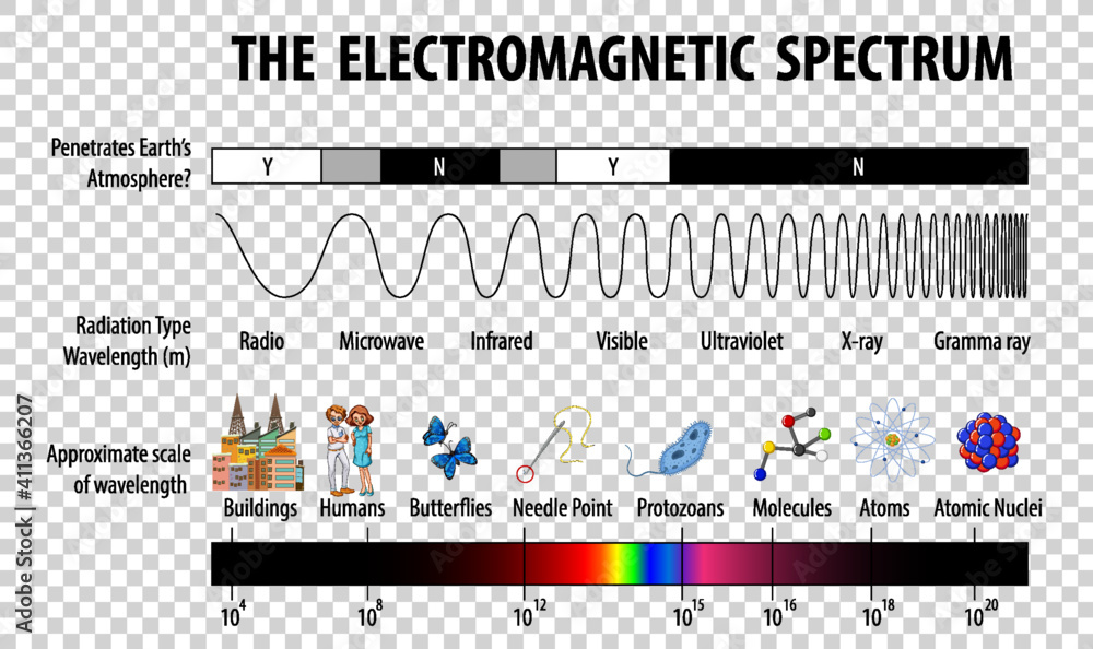 Science Electromagnetic Spectrum diagram on transparent background ...