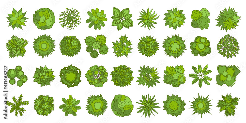 Trees top view. Different plants and trees vector set for architectural ...