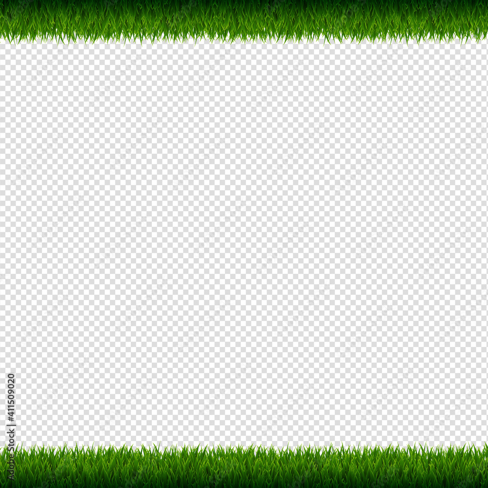 Grass Frame Isolated Transparent Background, Vector Illustration Stock ...