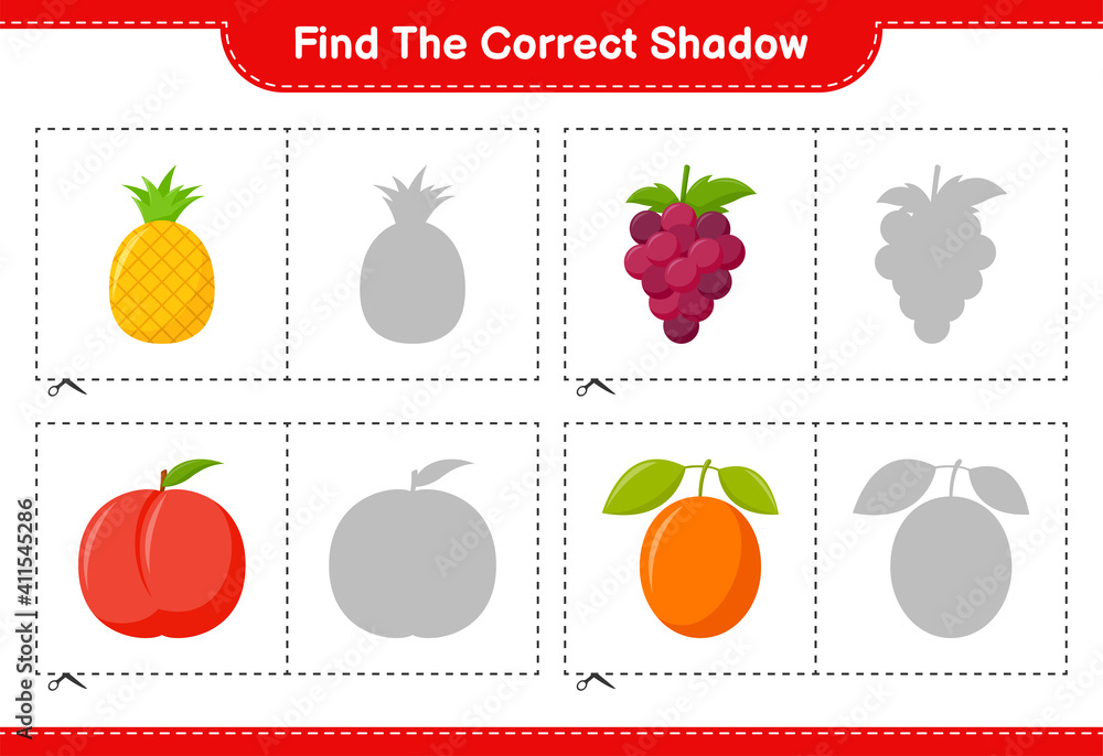 Stockvector Find the correct shadow. Find and match the correct shadow ...