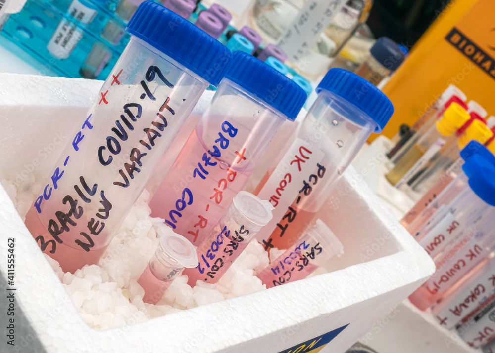 Several frozen vials testing positive for covid-19 infection of the new ...