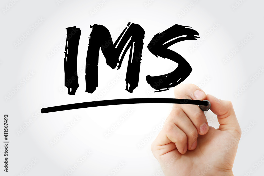 IMS - Integrated Management System acronym with marker, business ...