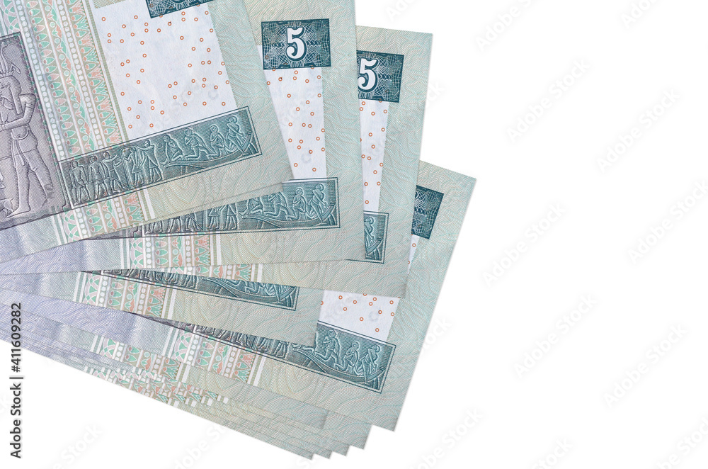 5 Egyptian pounds bills lies in small bunch or pack isolated on white ...