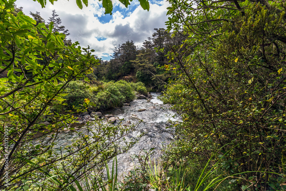 River next to Whakapapa natural walk in Tongariro National Park, North ...