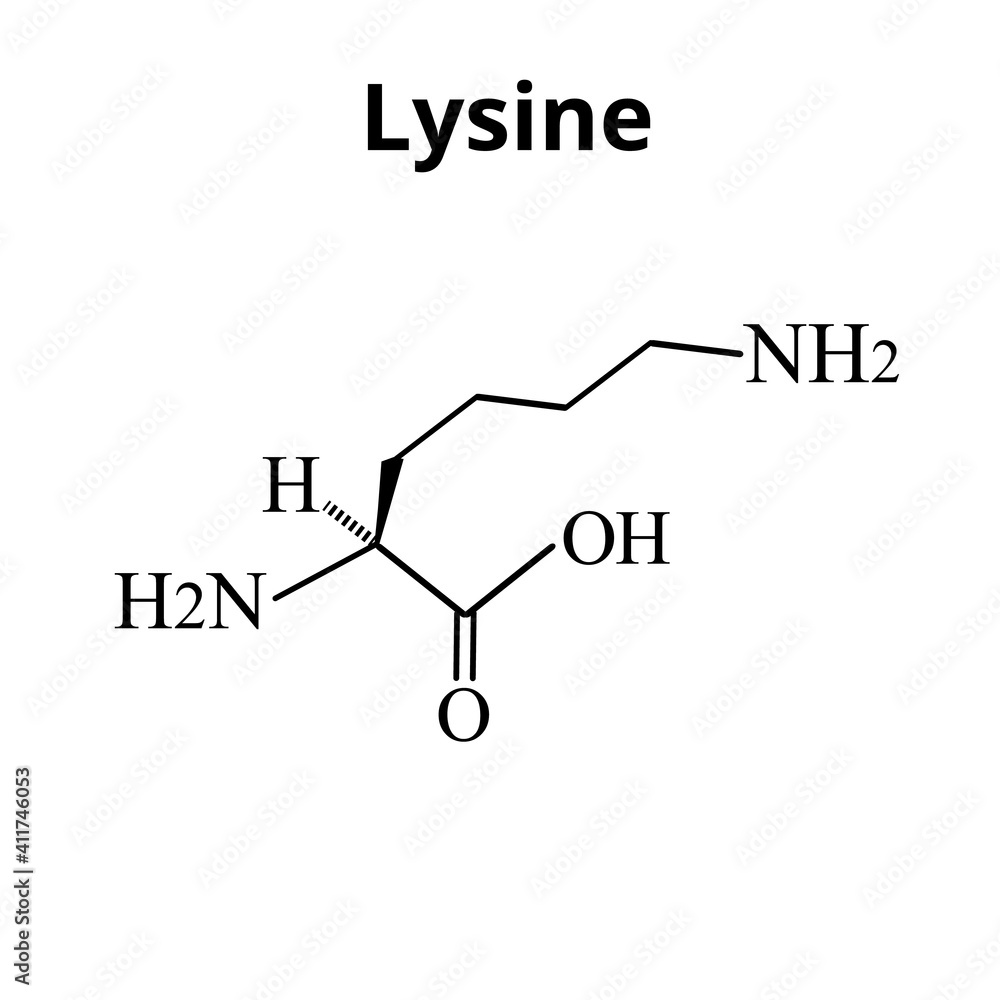 Amino acid Lysine. Chemical molecular formula Lysine is an amino acid ...