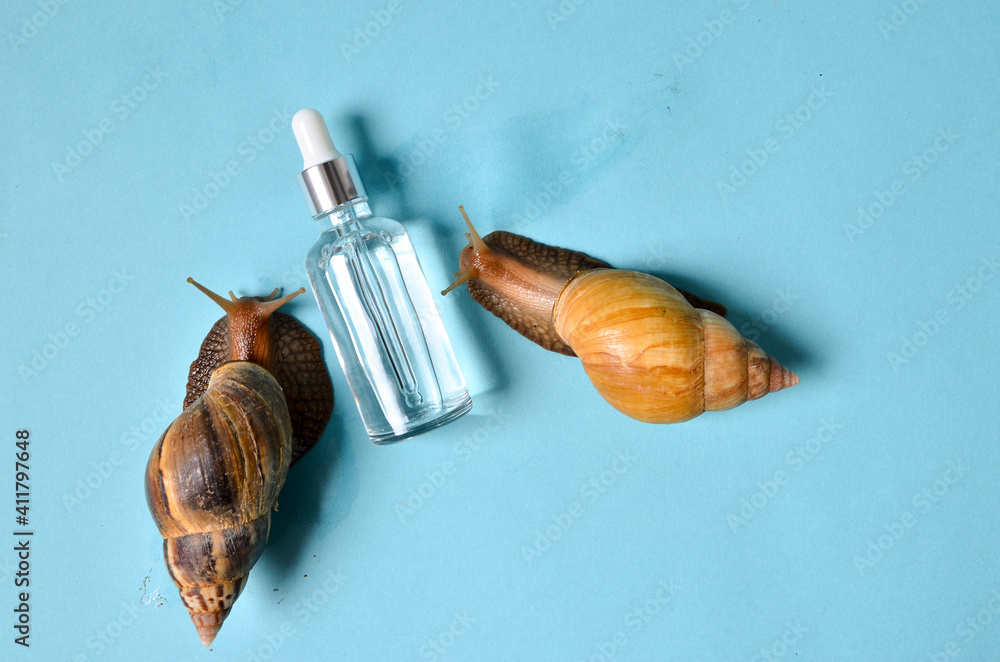 cosmetic serum with extract of snail slime and a snails on a wood ...