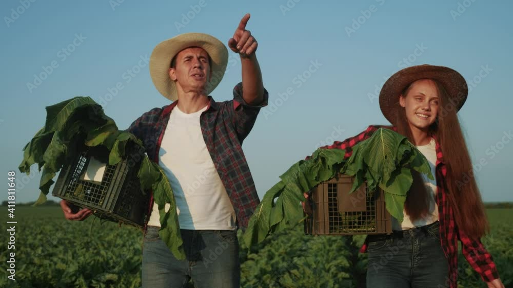 agriculture. group of farmers in walk on a green field with box ...