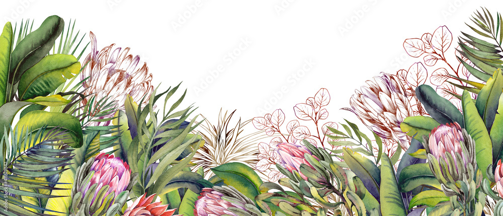 Floral border with exotic protea flowers and green tropical foliage ...