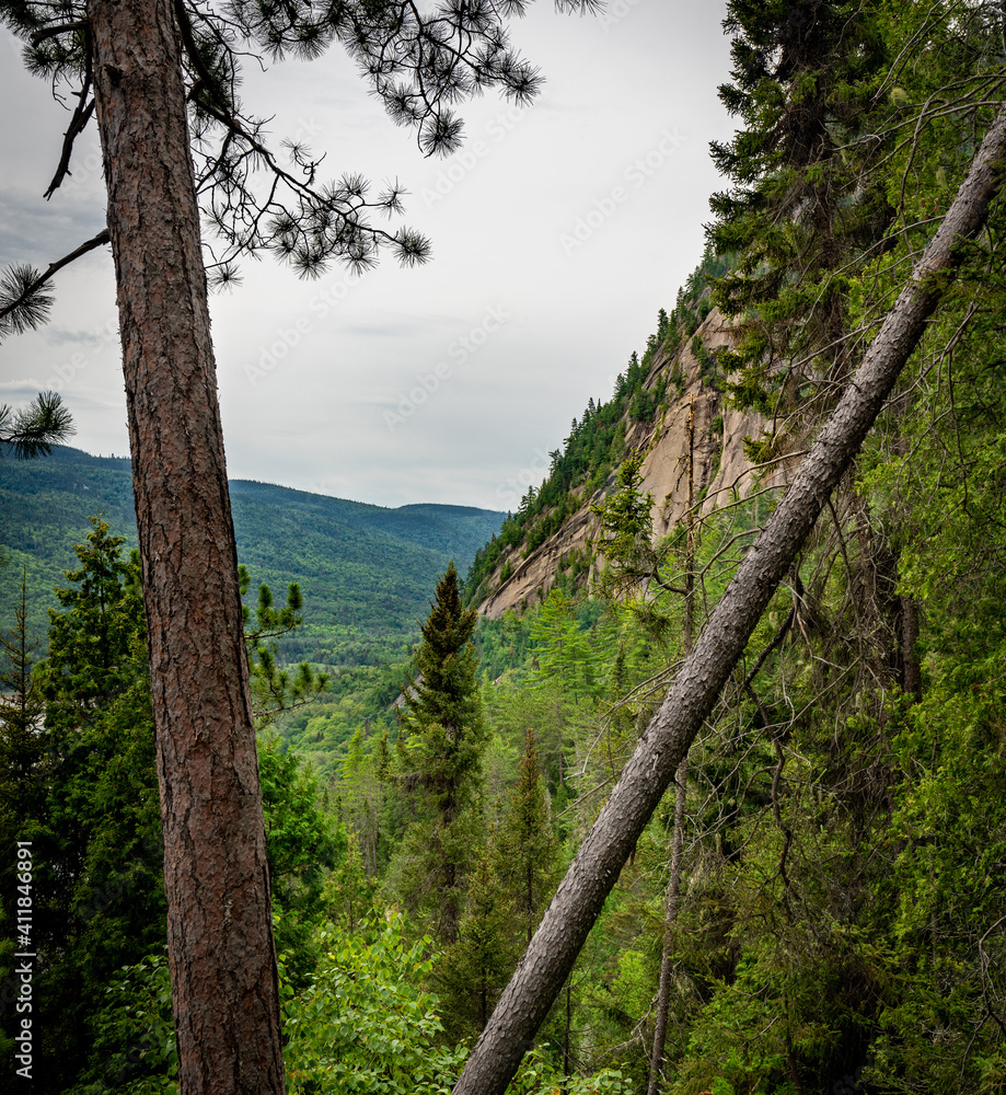 Huge cliffs from a look out behind trees and bushes at Fjords du ...