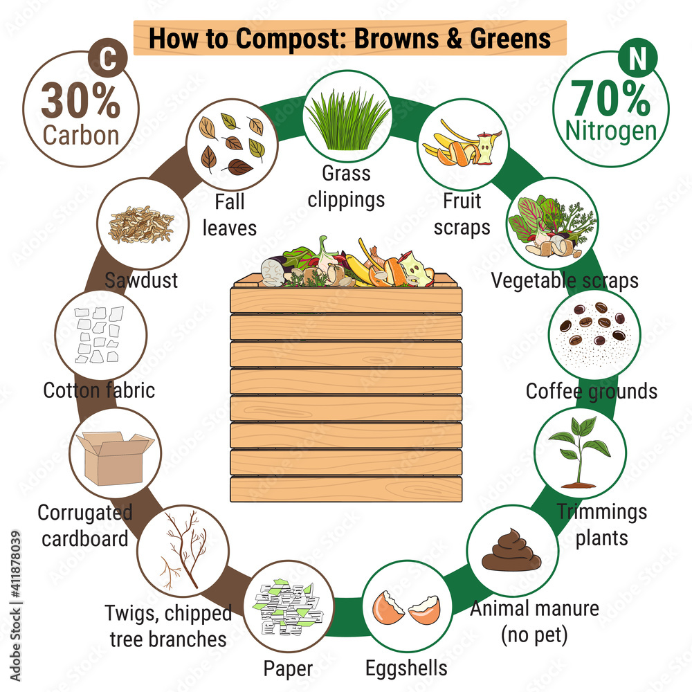 Infographic of garden composting bin with scraps. What to compost ...