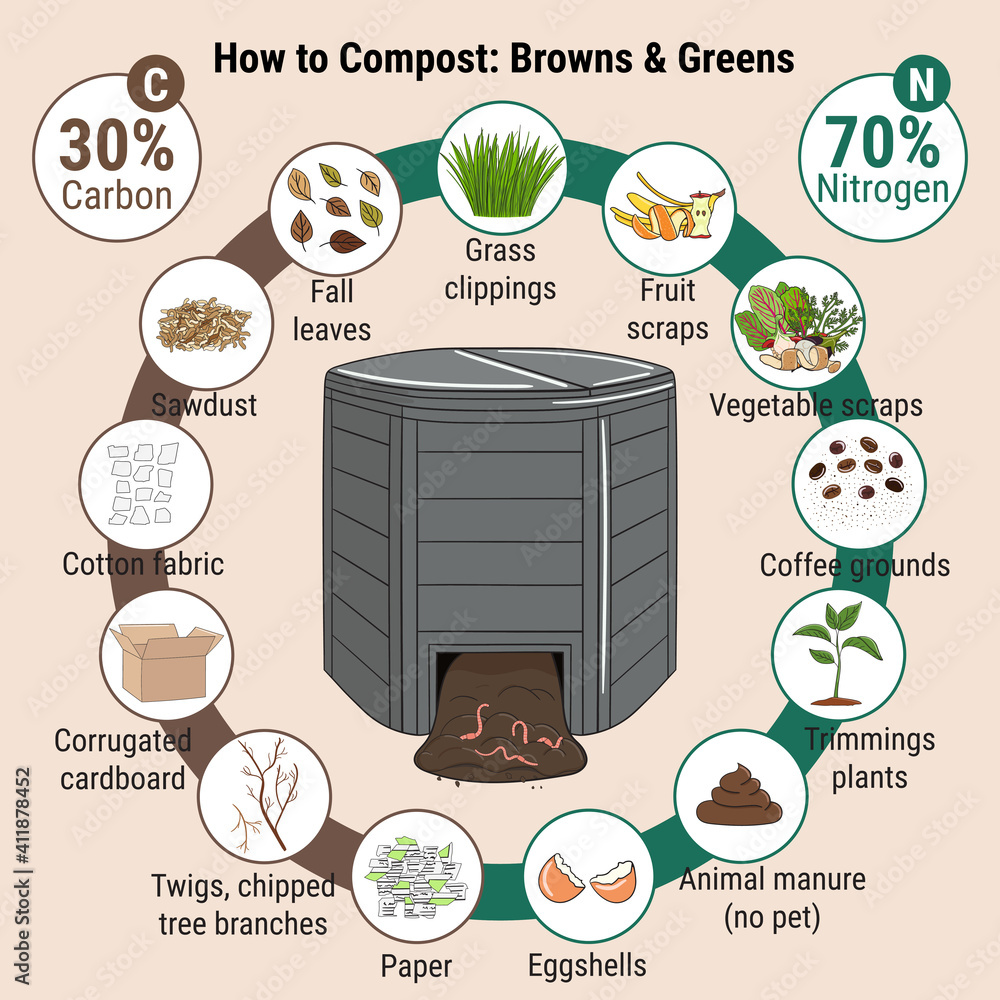 Infographic Of Garden Composting Bin With Scraps What To Compost