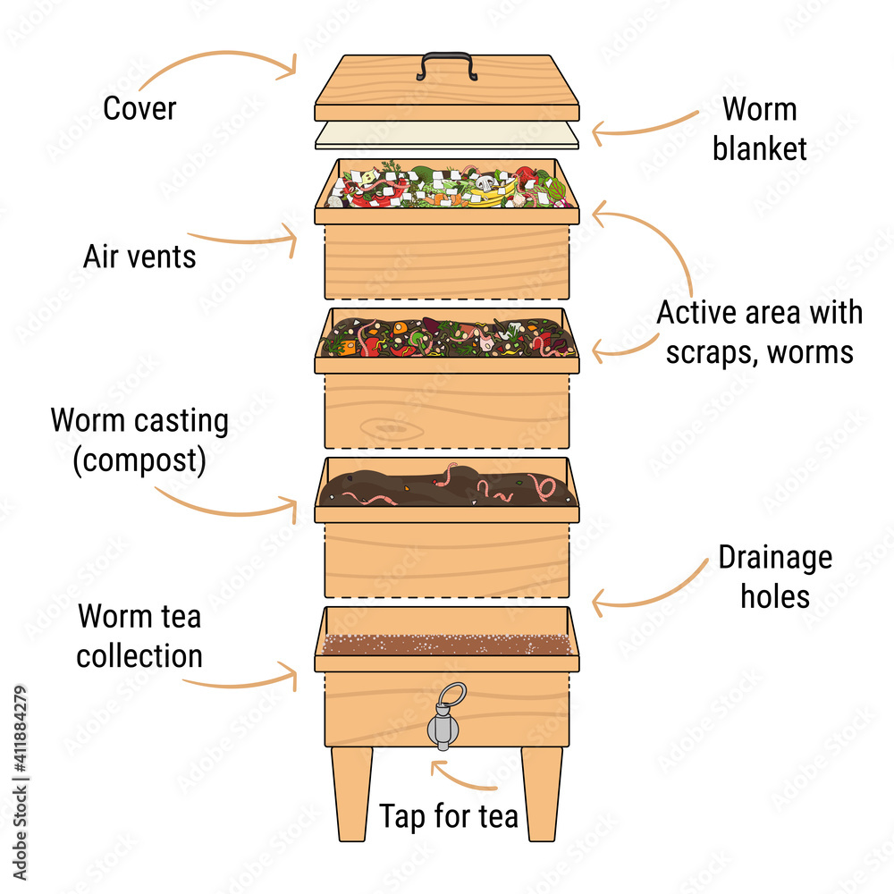 Infographic of vermicomposting. Components of vermicomposter ...