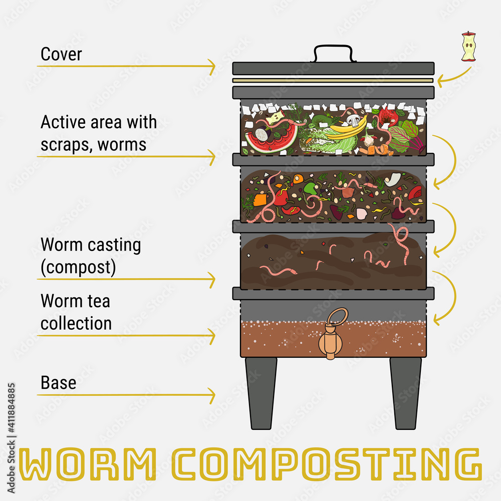 Infographic of vermicomposting. Components of vermicomposter ...