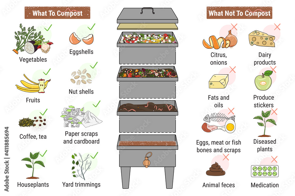 Infographic of vermicomposting. What to or not to compost. Worm ...