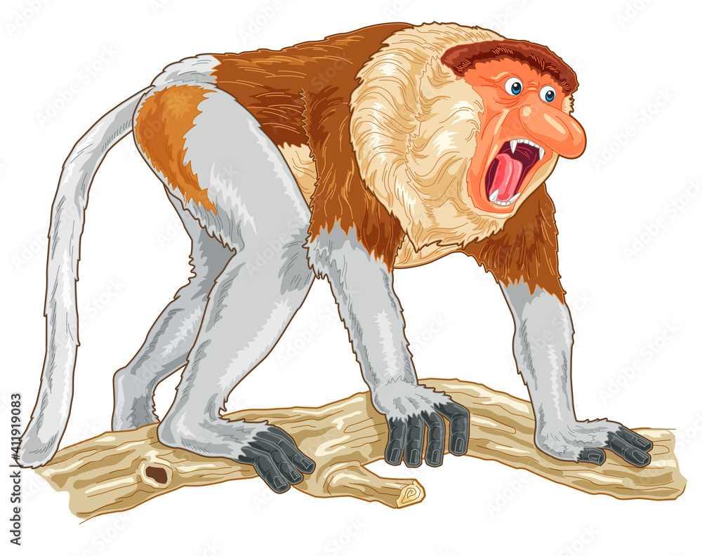 Proboscis Monkey cartoon illustration with ferocious face เวกเตอร์สต็อก ...