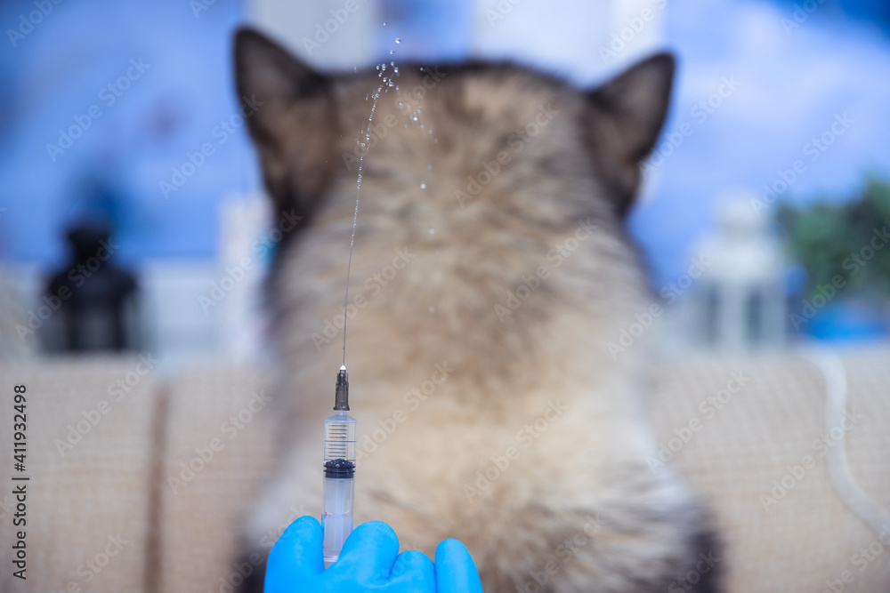 Vaccine Rabies Bottle and Syringe Needle Hypodermic Injection ...