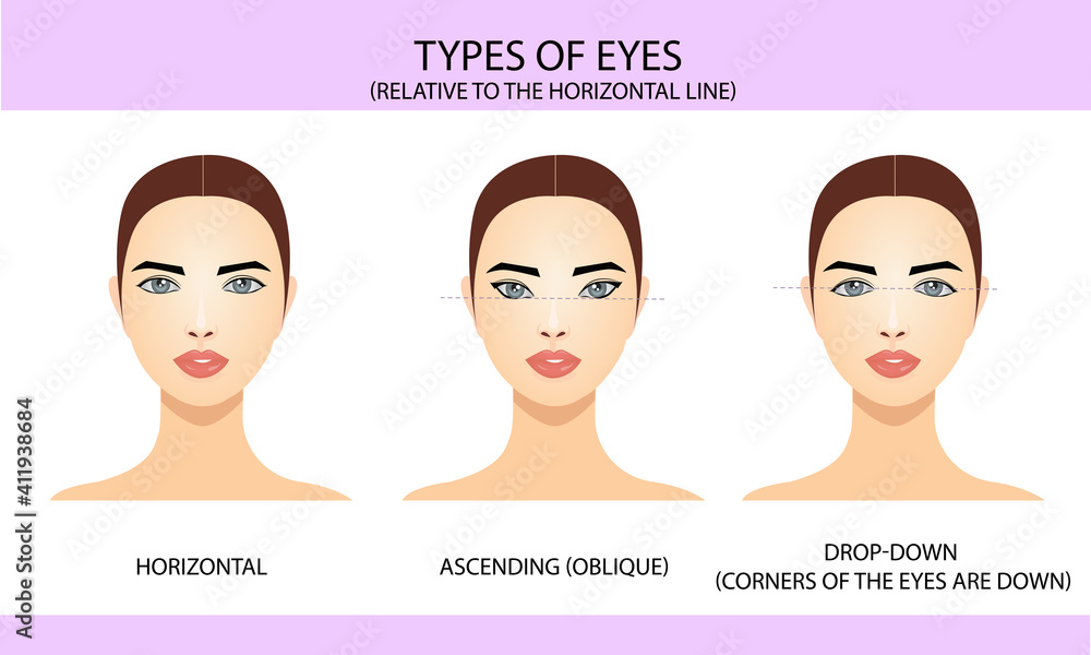 Types of eyes relative to the horizontal line, vector illustration ...