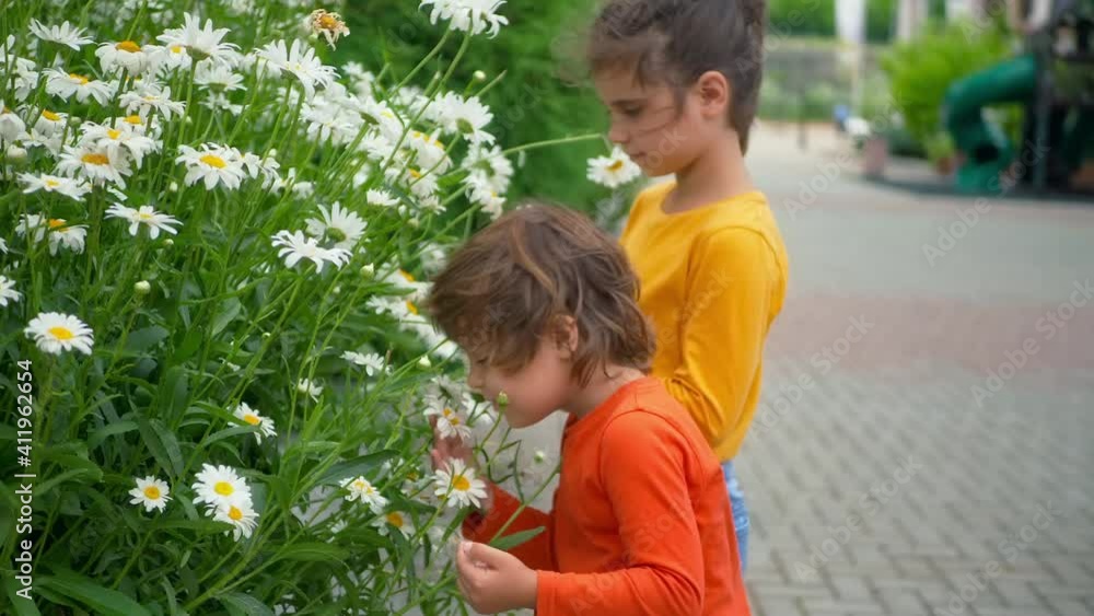 Cute adorable little girls smelling flower. Happy beautiful kids with ...
