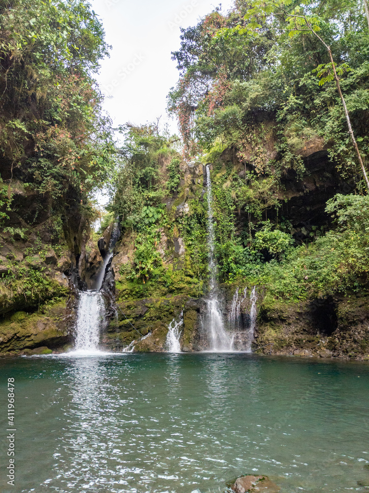 Macho De Monte Chiriquí Panamá Stock Photo | Adobe Stock