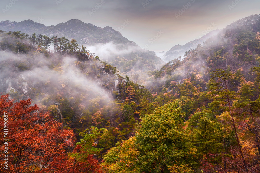 Mountain and autumn forest landscape in the mist, Yamanashi, Japan ...