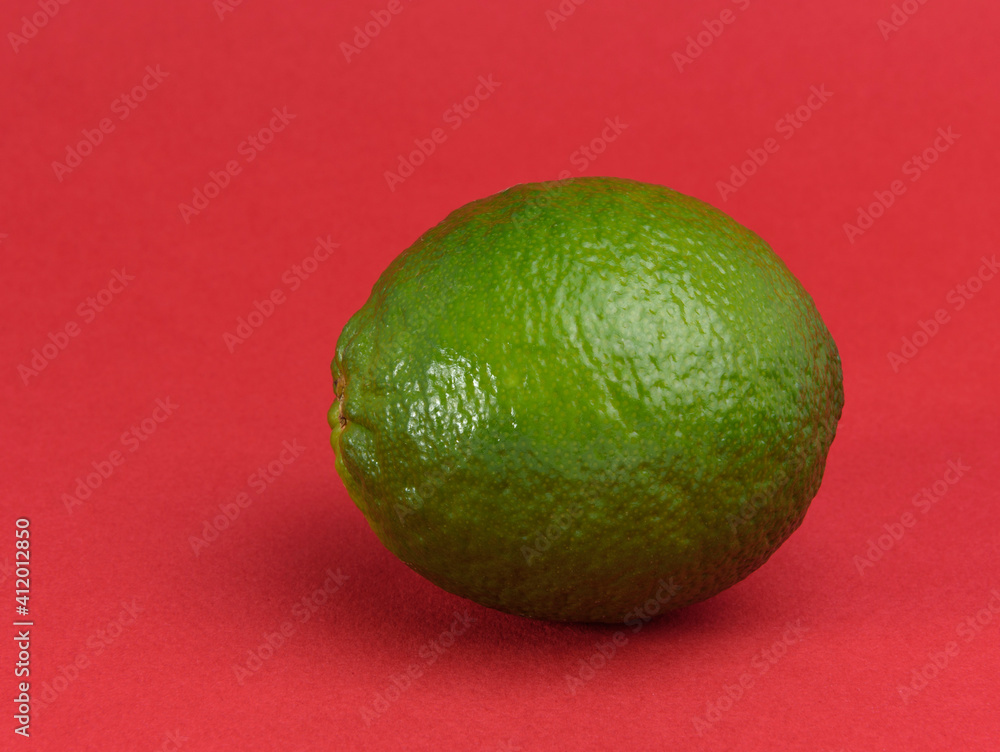 A single green lime on a red background Stock Photo | Adobe Stock