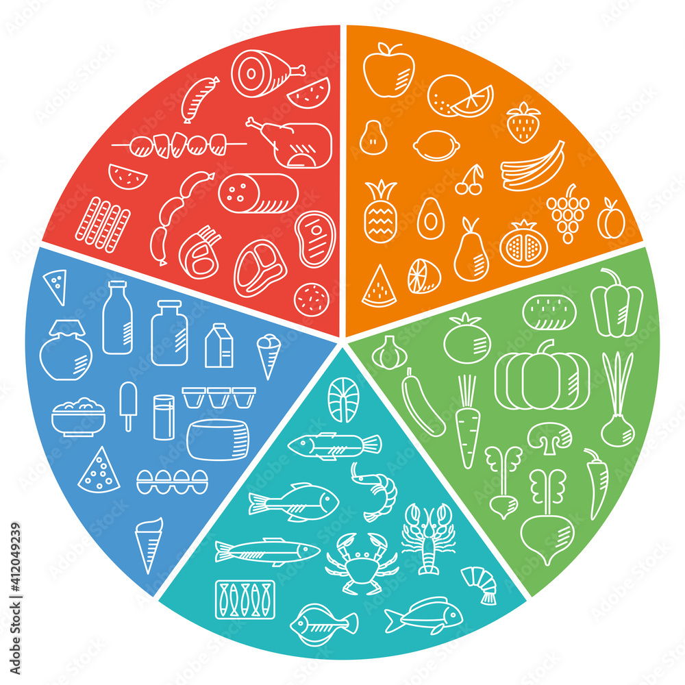 Various food groups in color segments. Vector food icons. Stylish line ...