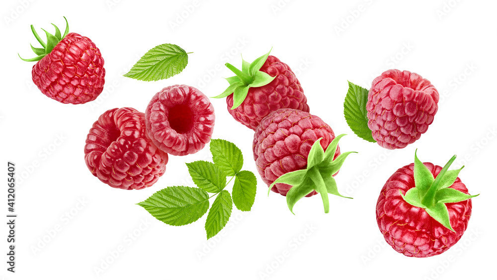 Flying raspberry fruits and raspberry leaves. Raspberry with leaves ...