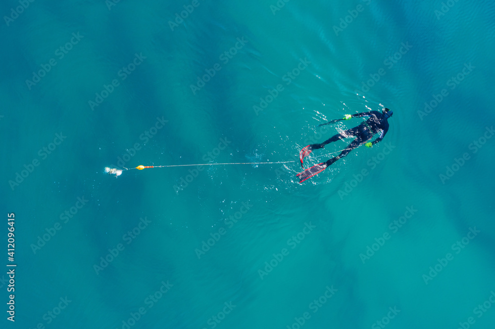 Speargun Fisherman diving into the sea, with a sting of fresh caught ...