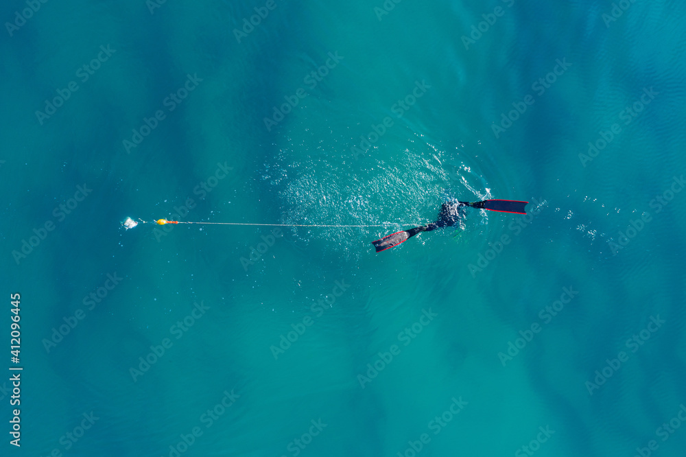 Speargun Fisherman diving into the sea, with a sting of fresh caught ...