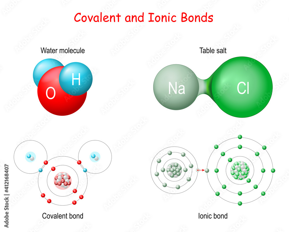 Ionic vs Covalent Bonds. Stock Vector | Adobe Stock