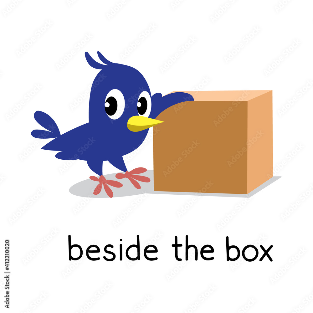 Preposition of place. Bird beside the box Stock Vector | Adobe Stock