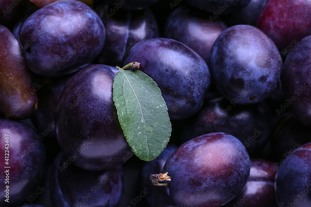 Many ripe plums as background Stock Photo | Adobe Stock