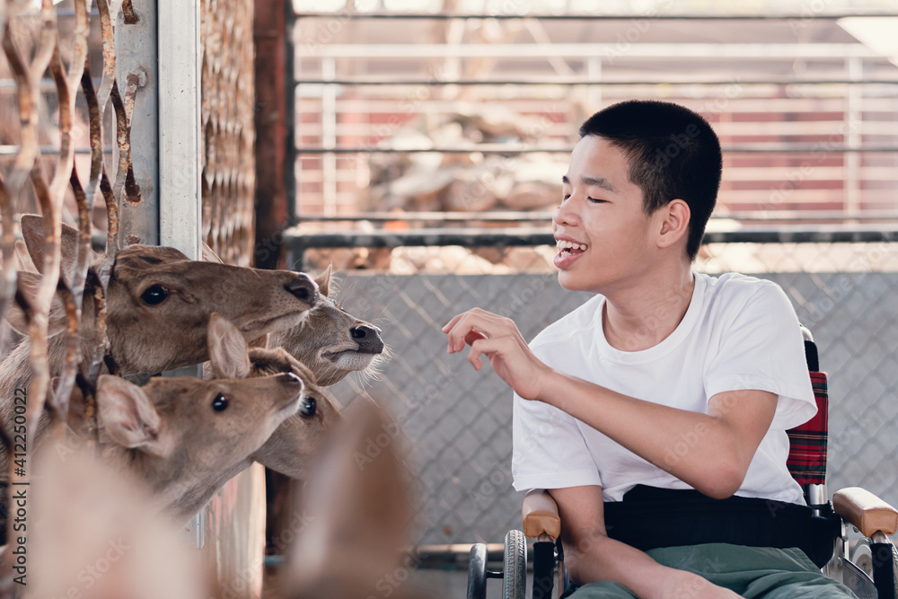Disabled child sitting on wheelchair feeding deers in zoo, Boy smile ...