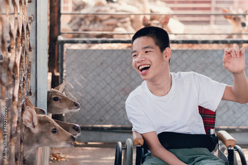 Disabled child sitting on wheelchair feeding deers in zoo, Boy smile ...