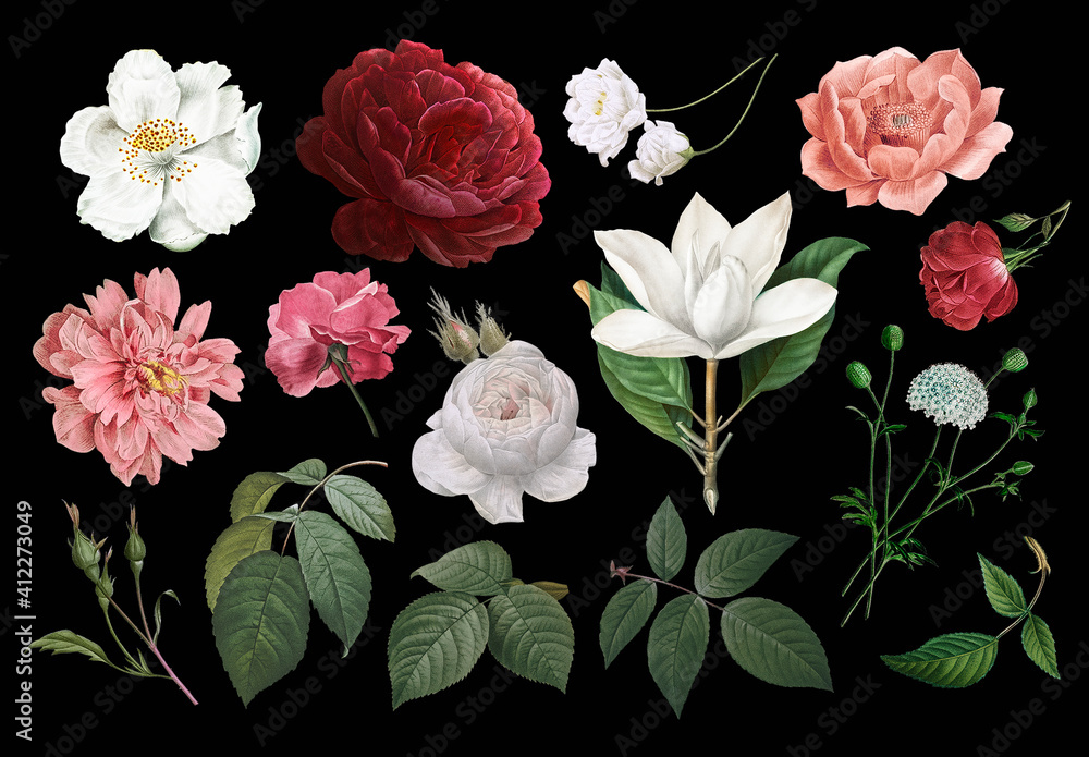 Colorful Vintage Flower Scene Creator Design Mockup Stock Template ...