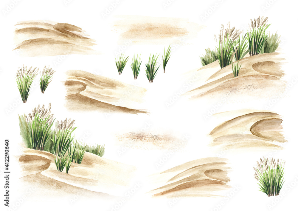 Coastal dune, sea grass set. Hand drawn watercolor illustration ...